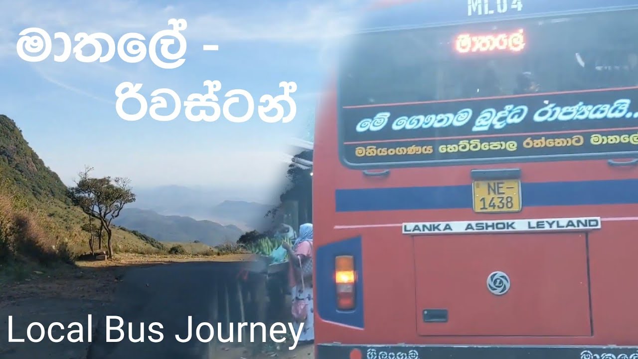 මාතලේ - රිවස්ටන් බස් එක 🤩🚍🏞️ | Matale to Riverston local bus journey ...