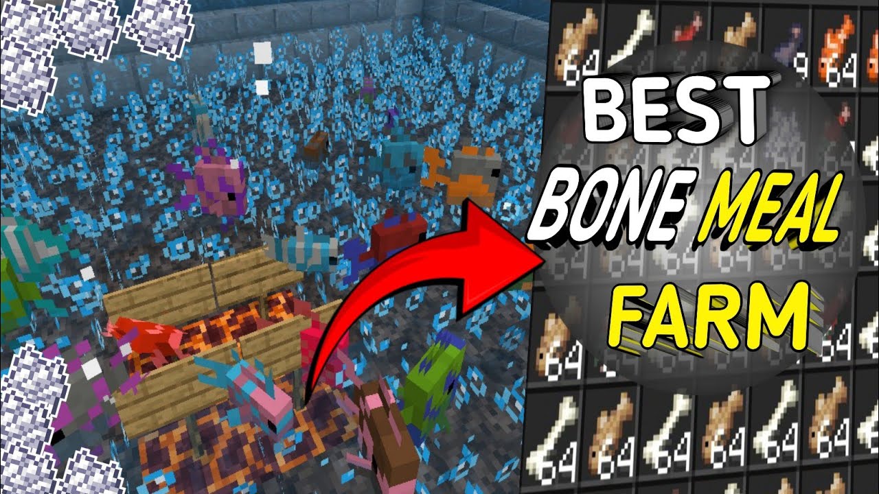 Best Infinite Bone Meal Farm In Minecraft Bedrock And Pocket MCPE/Xbox ...