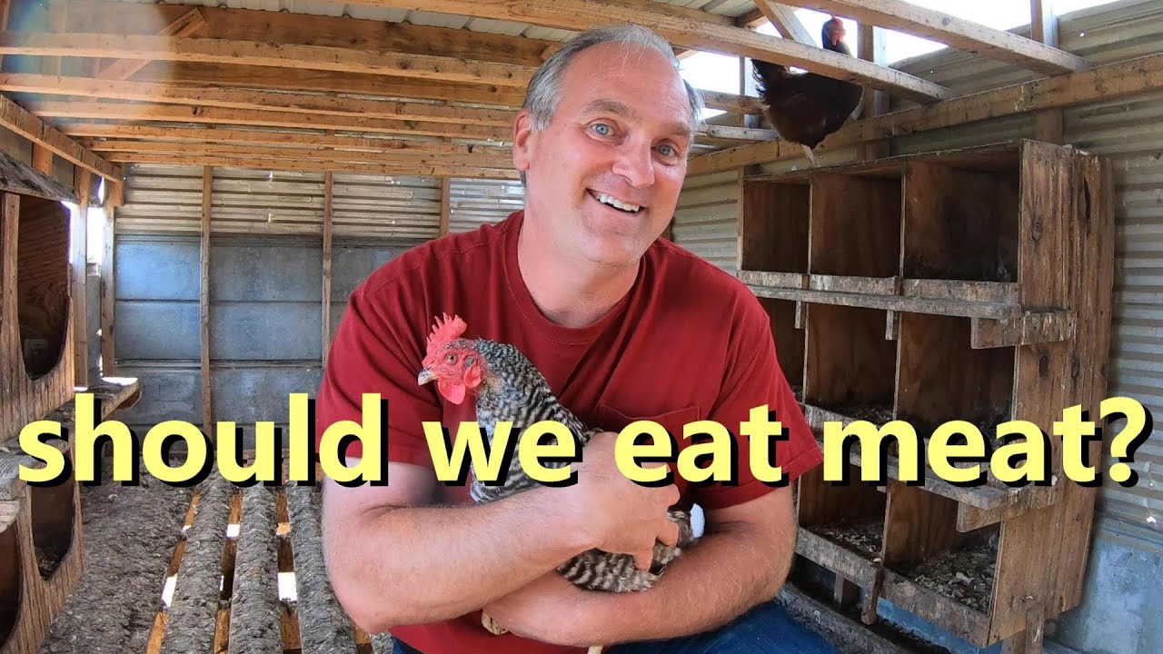 THE ETHICS OF EATING MEAT - a livestock farmer's perspective - YouTube