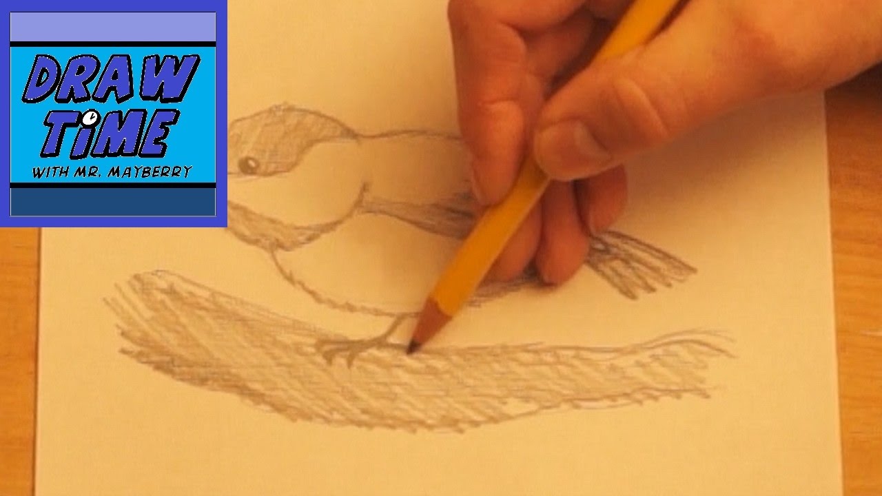 How to Draw a Chickadee - YouTube