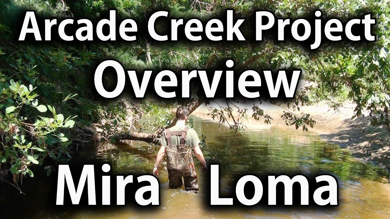 Arcade Creek Project Overview - Mira Loma High School - YouTube