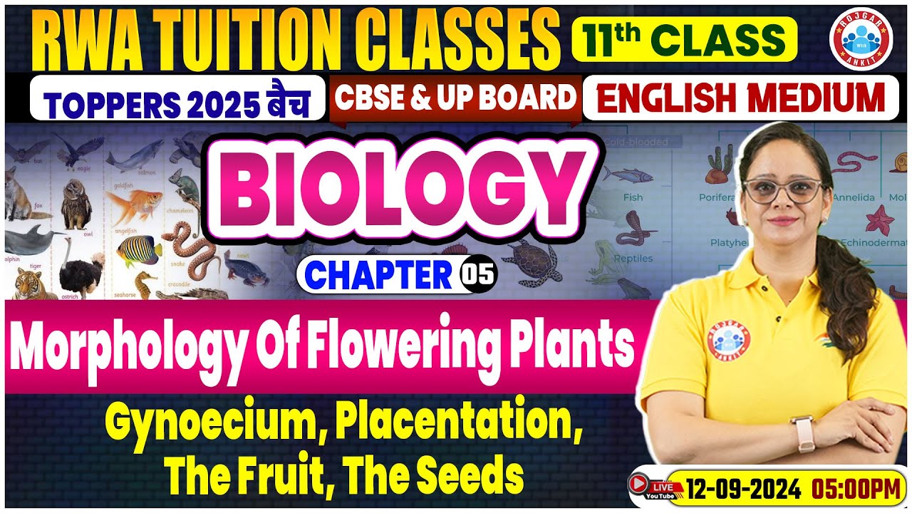 Class 11 Biology Chapter 5 | Morphology Of Flowering Plants By Vandana Mam - YouTube