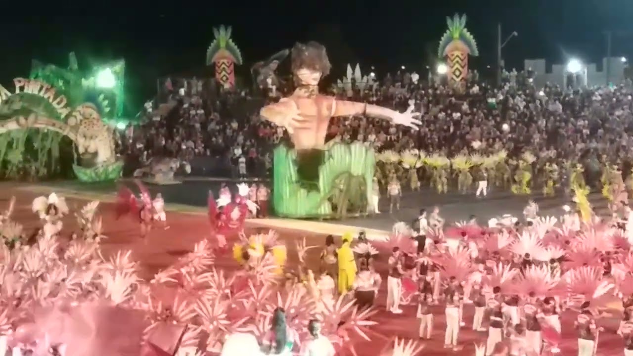 festisol onça pintada Tabatinga Amazonas. - YouTube