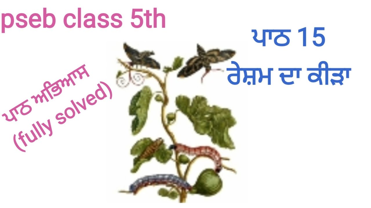 PSEB॥punjabi 5th class lesson 15॥back exercise( ਰੇਸ਼ਮ ਦਾ ਕੀੜਾ) - YouTube