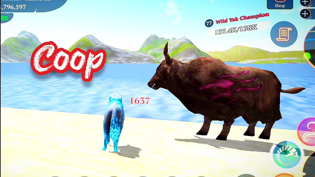 the wolf - Wild Yak Champion #thewolf - YouTube