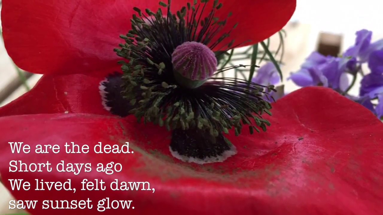 Memorial Day 2017 - "in Flanders Fields" poem - YouTube