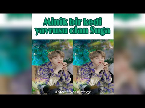 Suga minik bir kedi yavrusu