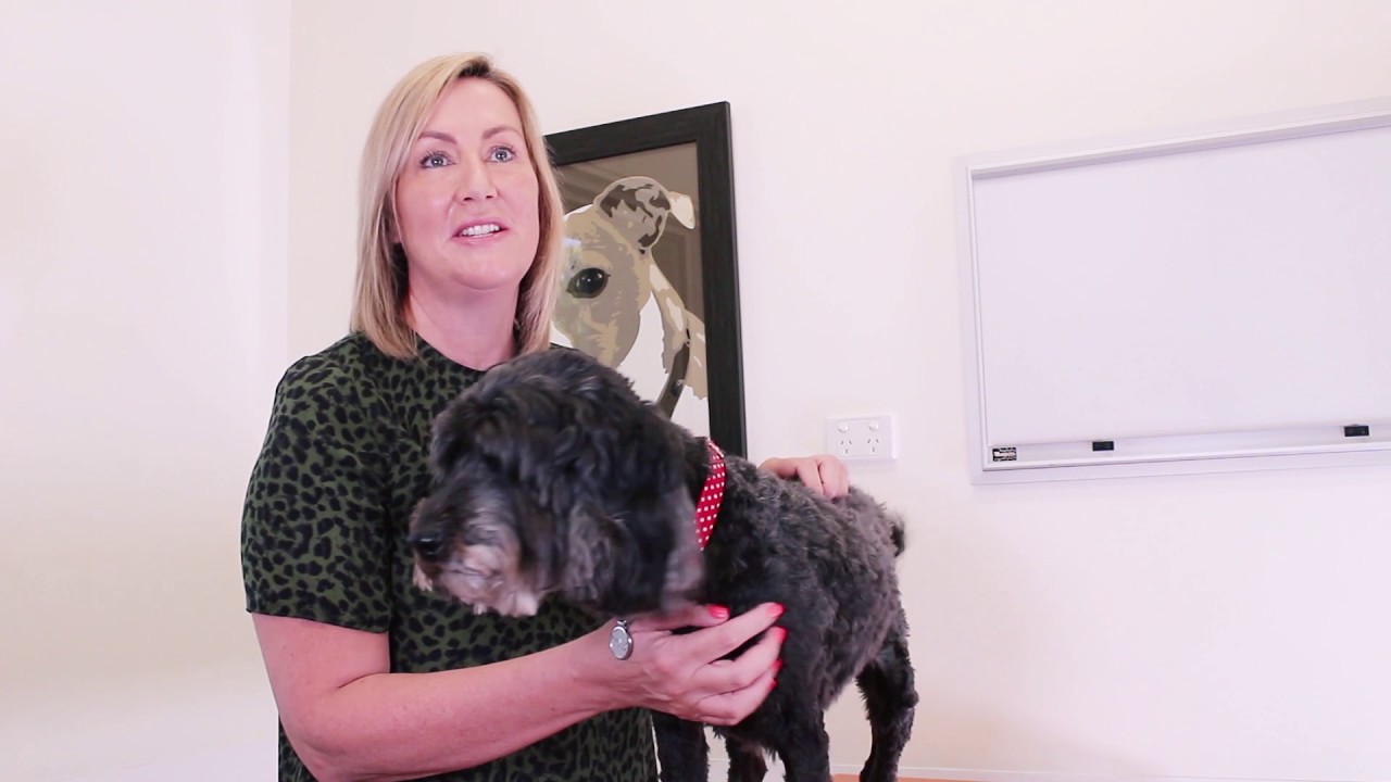 Videos for vets - Practice Video - YouTube