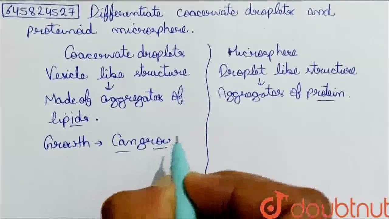 Differentiate coacervate droplets and proteinoid microsphere. | CLASS ...