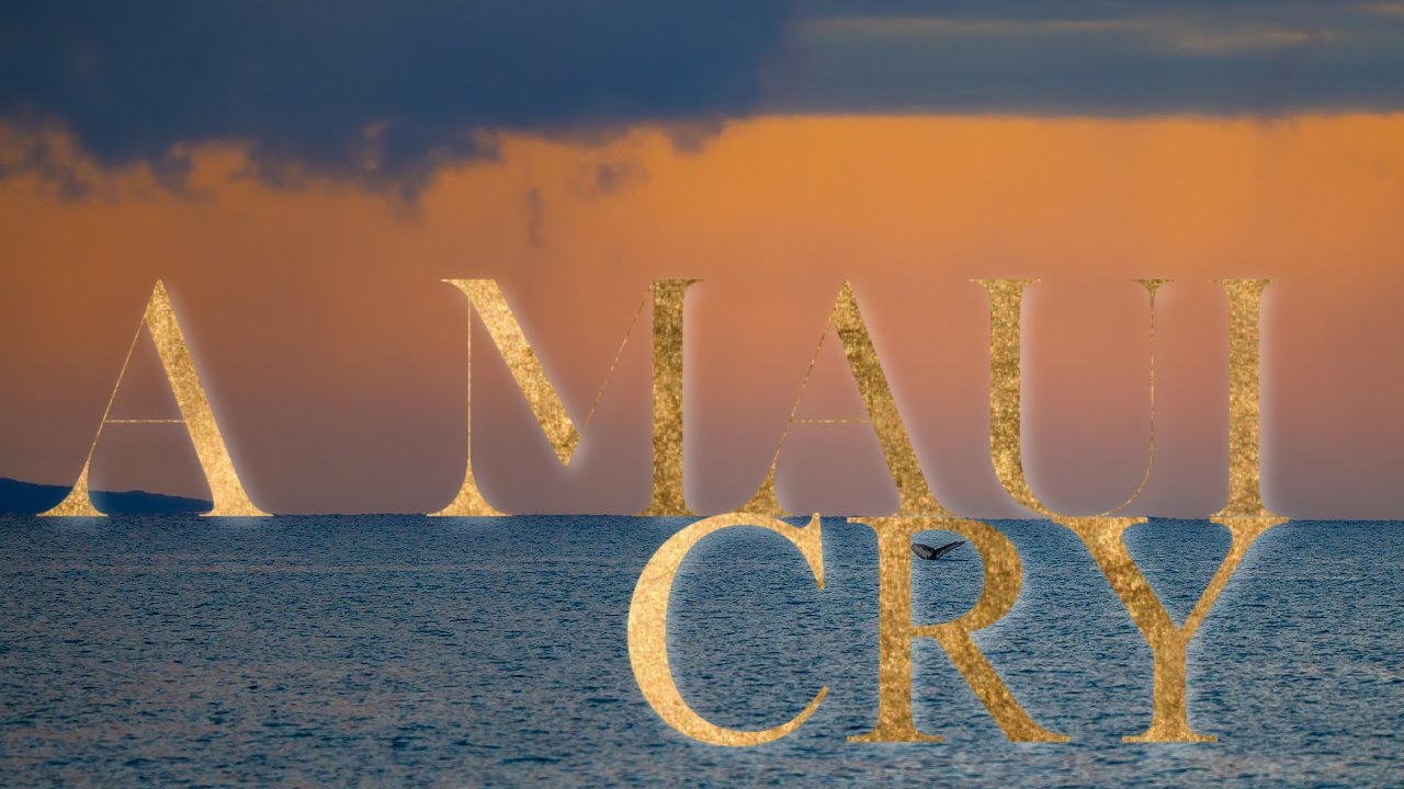 Maui Hawaii 2023 - A Cry For Help - YouTube