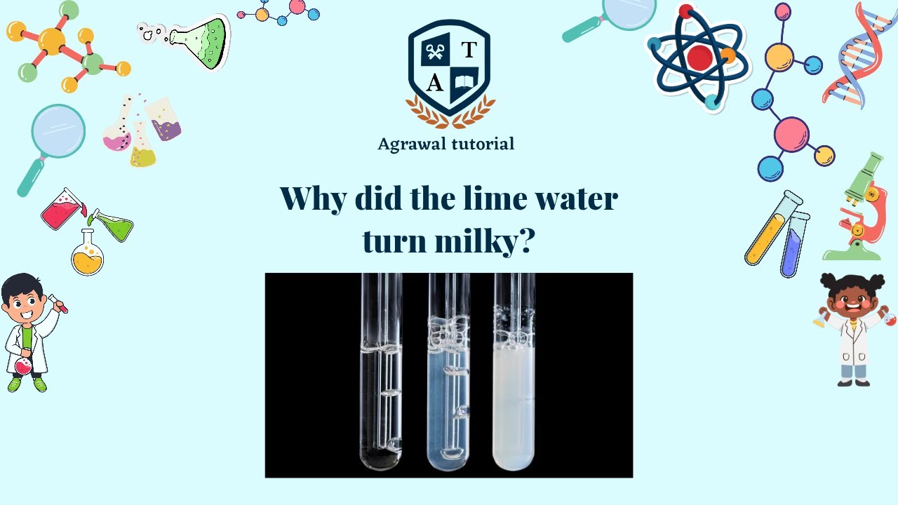 Discover the Chemistry of Lime Water and Carbon Dioxide: A Hands-On ...