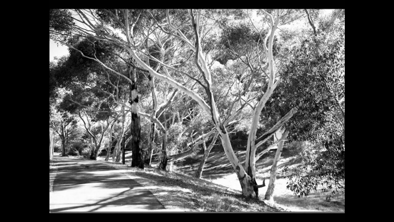 Deborah Liles Autumn Leaves - YouTube