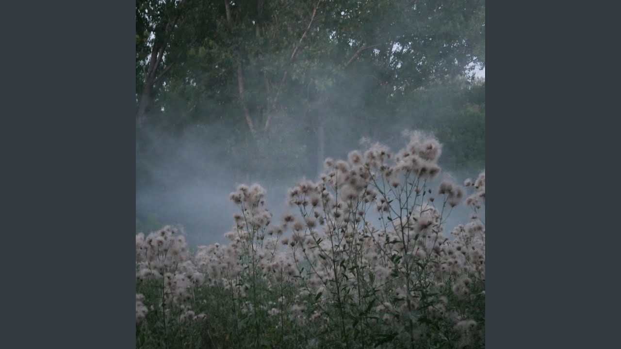 X it out - YouTube Music