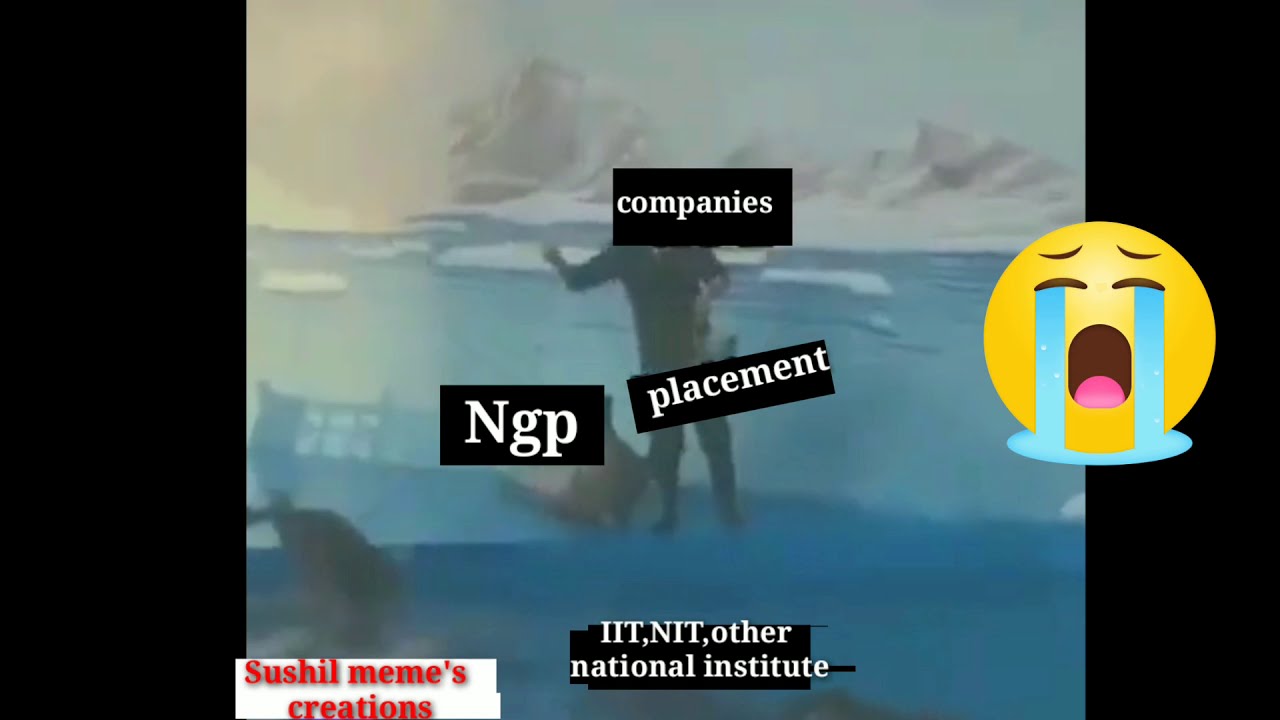 NGP Patna-13 placement|| New government polytechnic,Patna-13 Vs IIT Vs ...