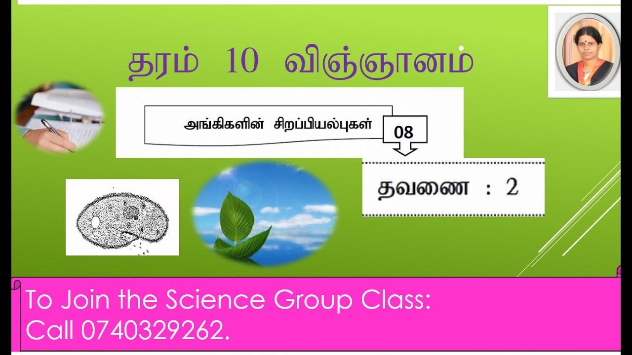 Grade 10 Science Unit 08 Class 01 video 1 - YouTube