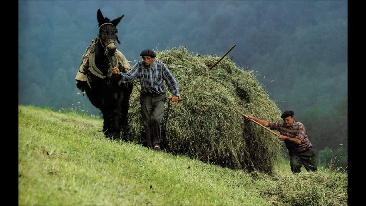 Les Paysans - YouTube