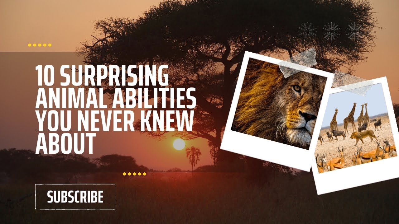 Unveiling Nature's Astonishing Wonders: 10 Mind-Blowing Animal ...