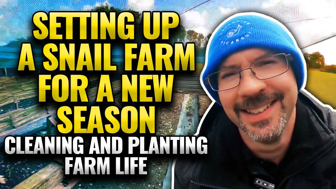 Irish Snail Farm Adventure: Delivering Products & Collecting Breeding ...