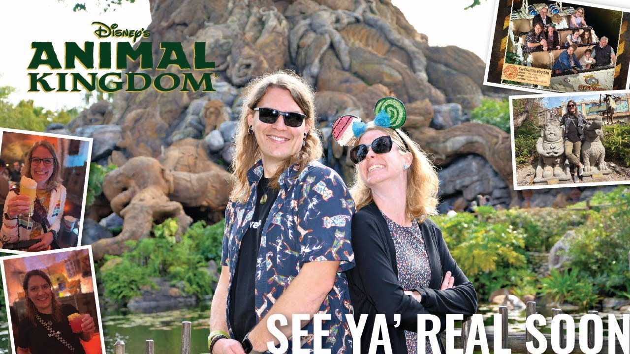 Day 8: A Magical Disney World Send-Off: Animal Kingdom to Hollywood ...