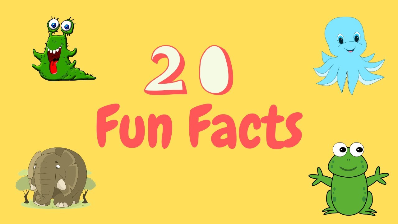 20 Fun Facts about Animals | Learning for Kids | Kids Story | Learning ...