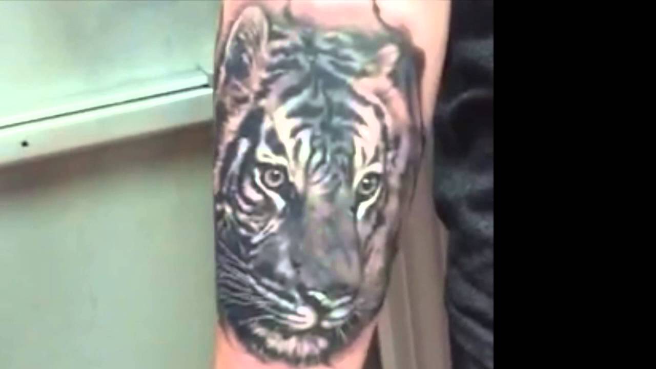 Tattoo artist Michael Guiffre renders a classic tiger with piercing ...