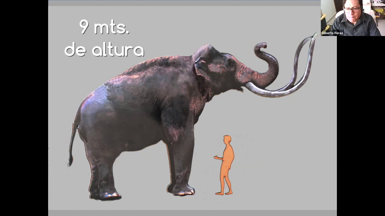 Proyecto Audiovisual "Rescatando el Sonido del Mamut "bebe" encontrado ...