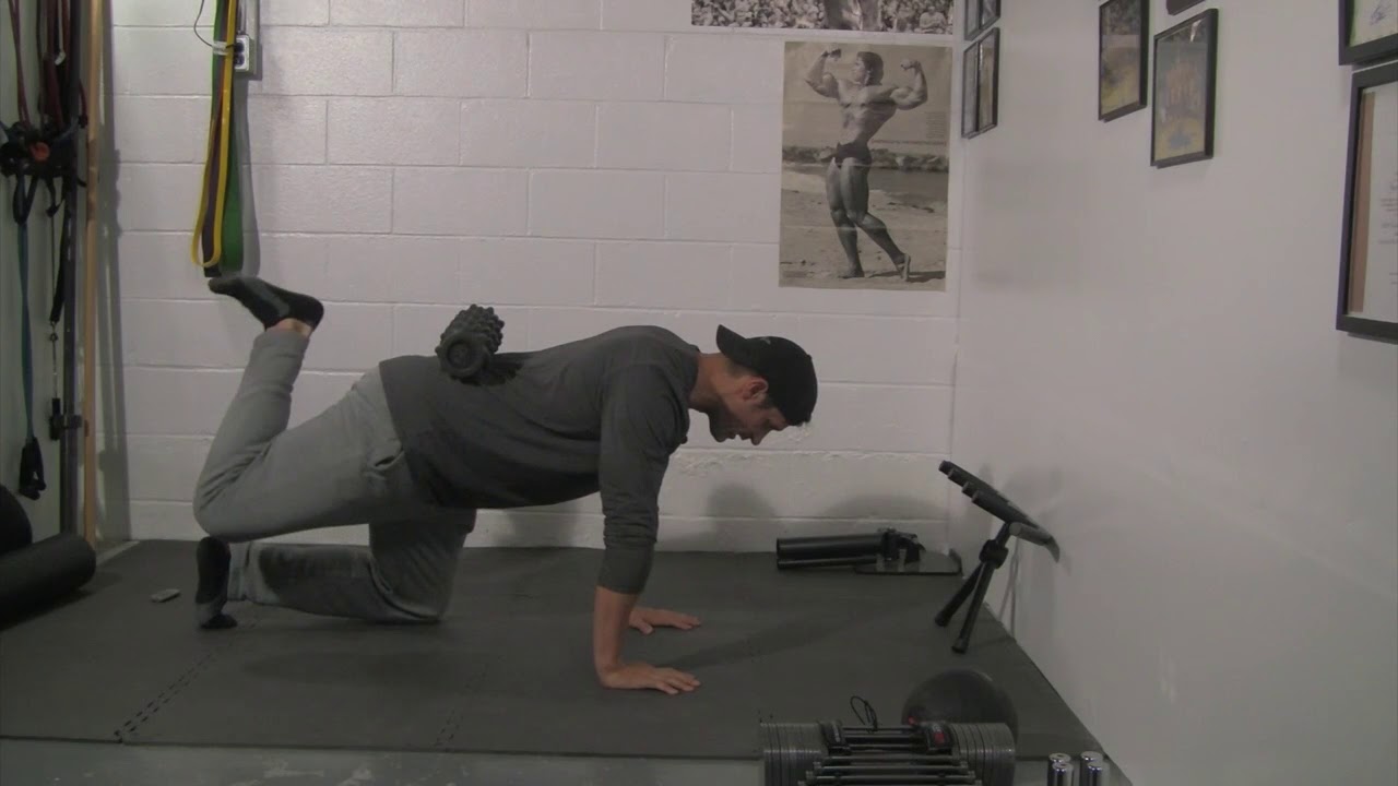 Quadruped Hip Cars Youtube