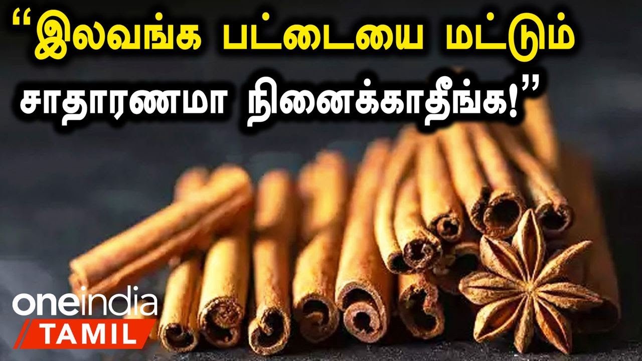 Pattai Cinnamon Health Benefits pattai-cinnamon-health-benefits
