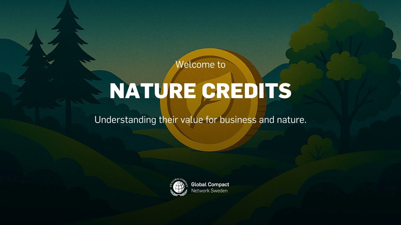 Nature Credits: Understanding their value for business and nature - YouTube