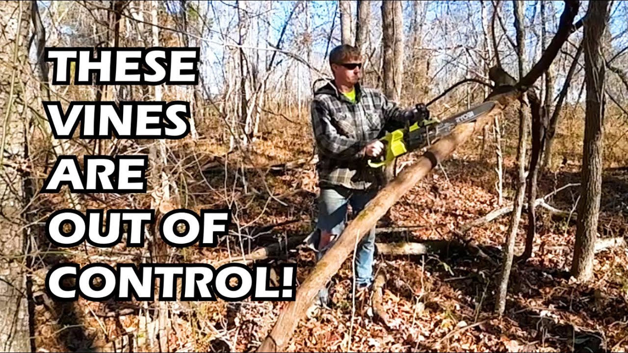 Clearing Overgrown Vines with Battery Powered Saw - YouTube