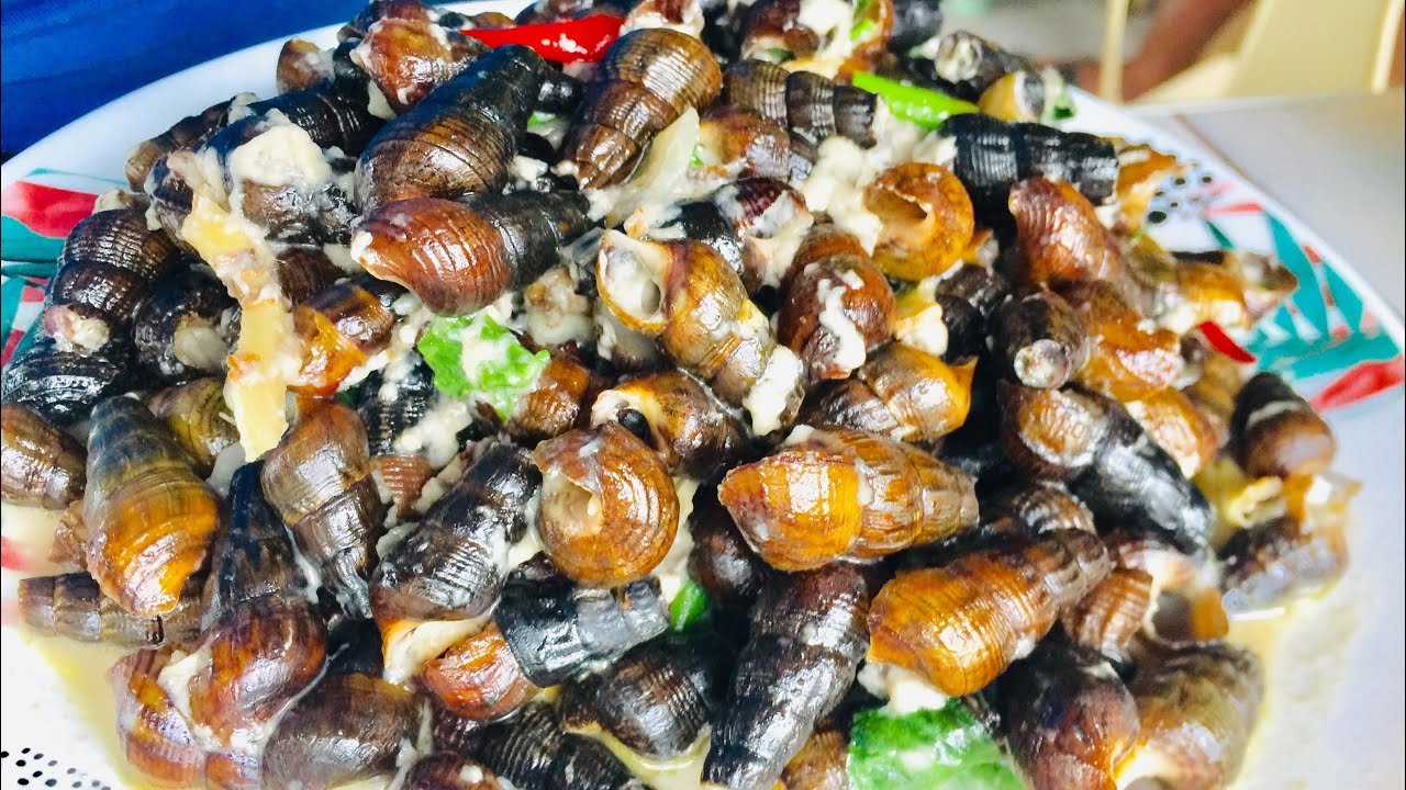 GINATAANG SUSONG PALIPIT REECIPE BY HDE CHANNEL - YouTube