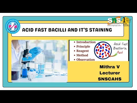 Acid fast Staining/Microbiology/SNS Institutions #snsinstitutions #snsdesignthinkers #designthinking