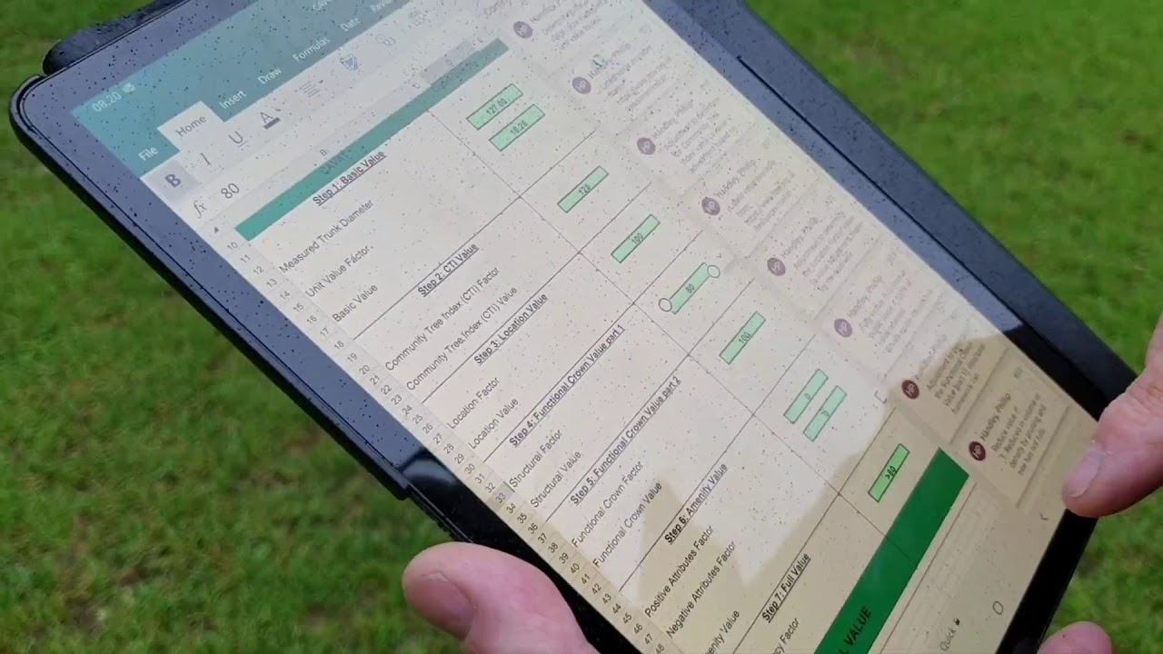 CAVAT valuation of a tree - YouTube