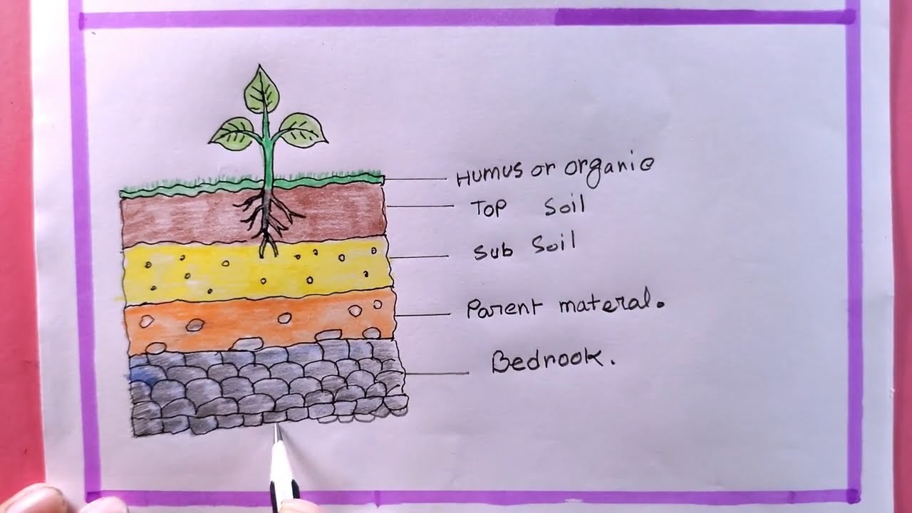 How To Draw Layers Of Soil/Soil Profile Diagram Drawing - YouTube