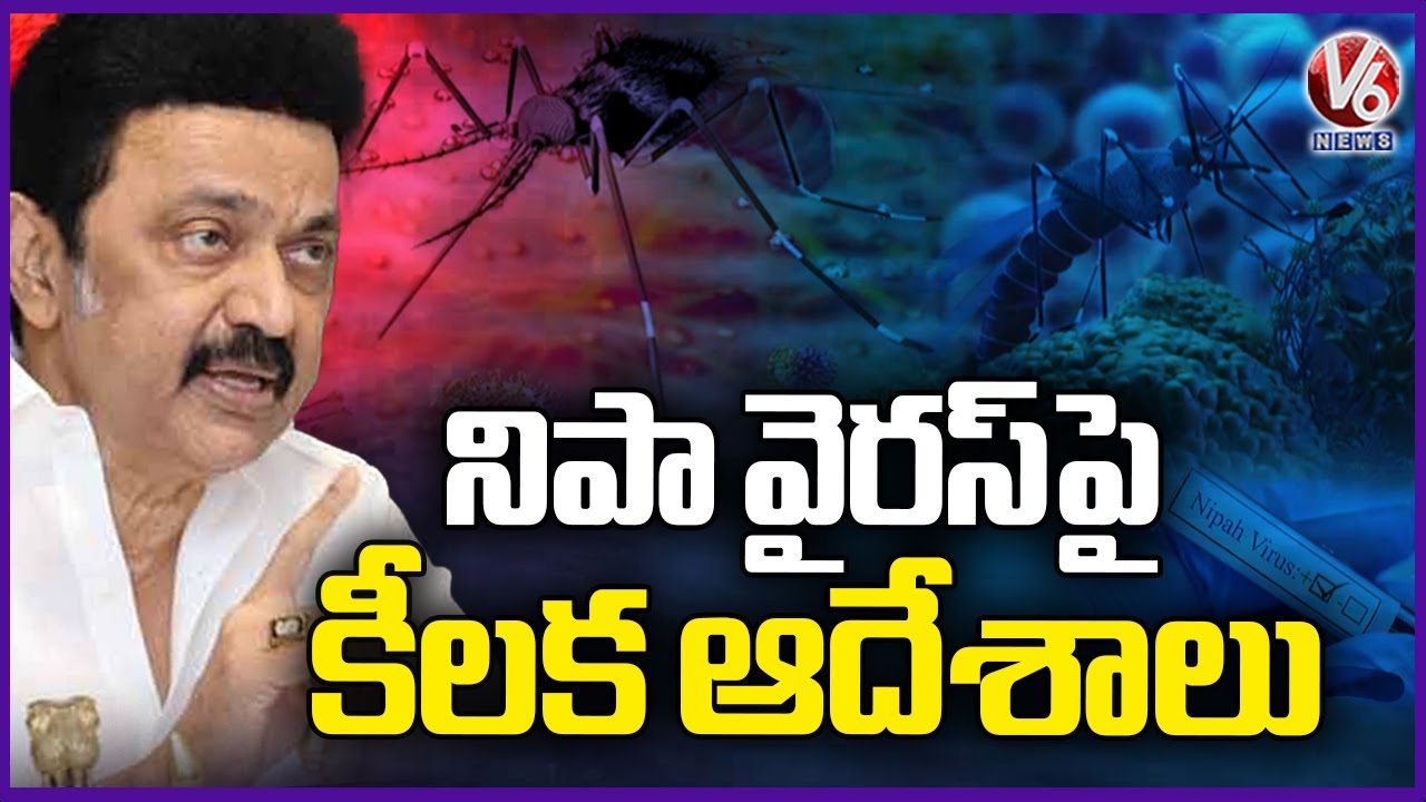 Tamil Nadu CM Stalin Alert Public Over Nipah Virus | Surveillance on ...