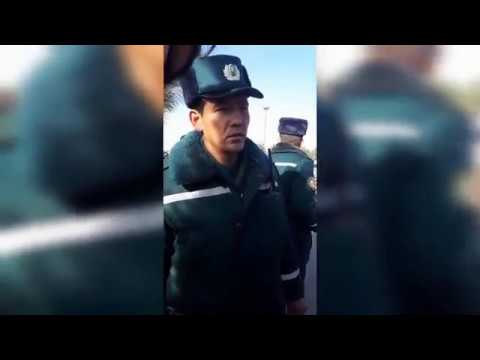 MENTLAR FUQORONI DUXINI OVOTTI