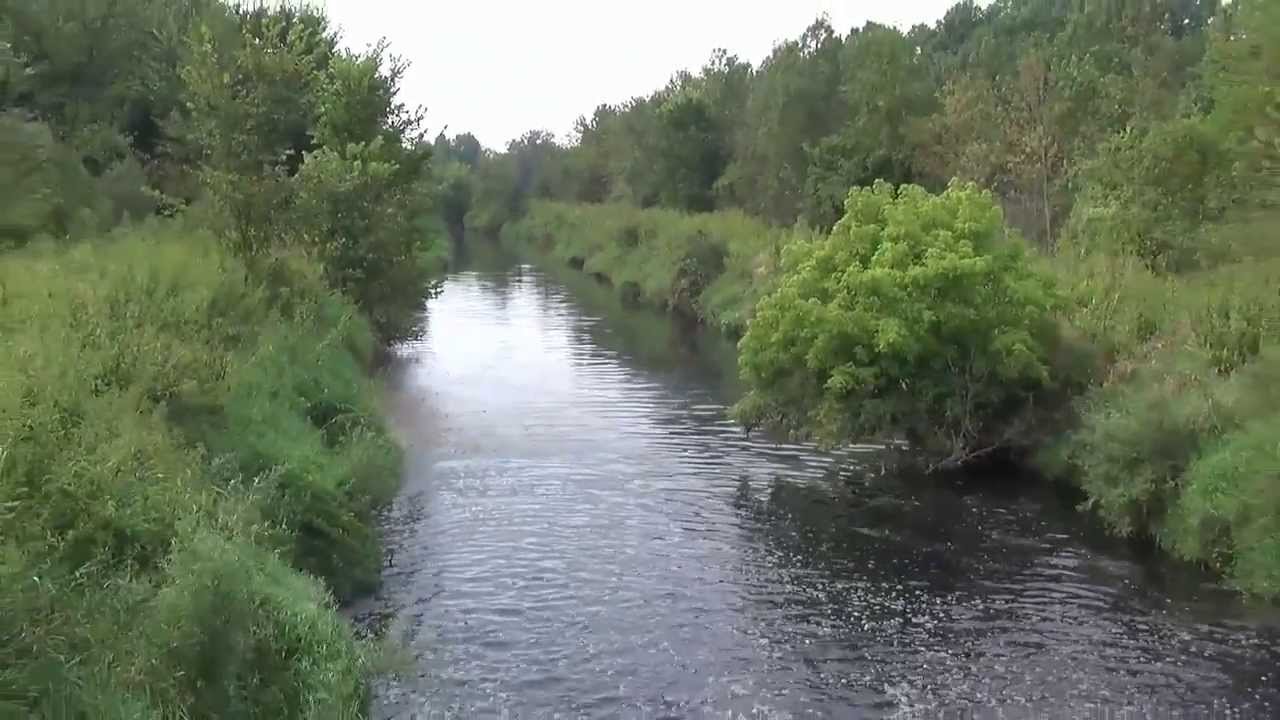 Corn silage leachate believed to be source of pollution in Chippewa ...