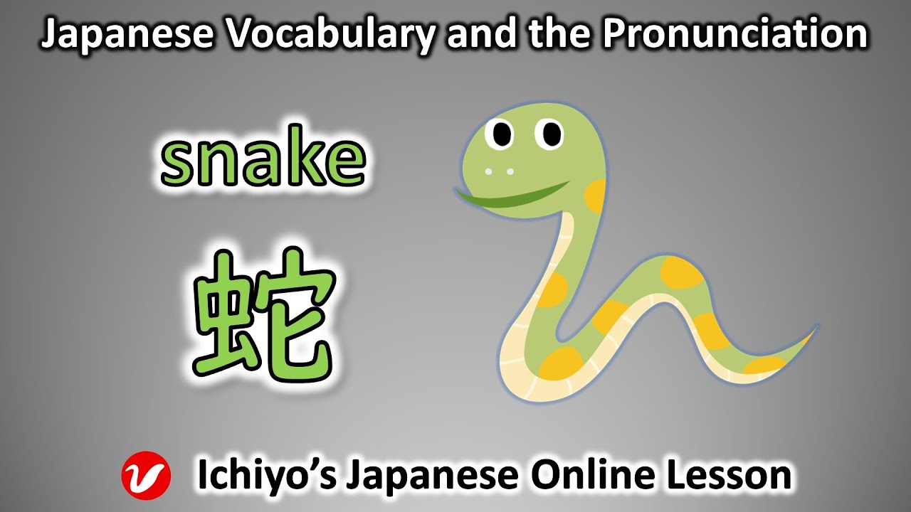 蛇 (へび、ヘビ、hebi) | snake | Japanese Vocabulary and the Pronunciation ...