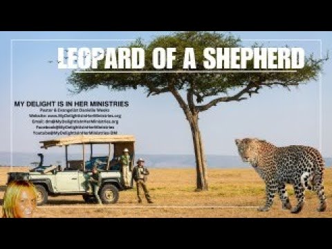 Leopard of a Shepherd - YouTube