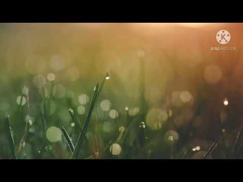 tere liye veer zara shahid Malik