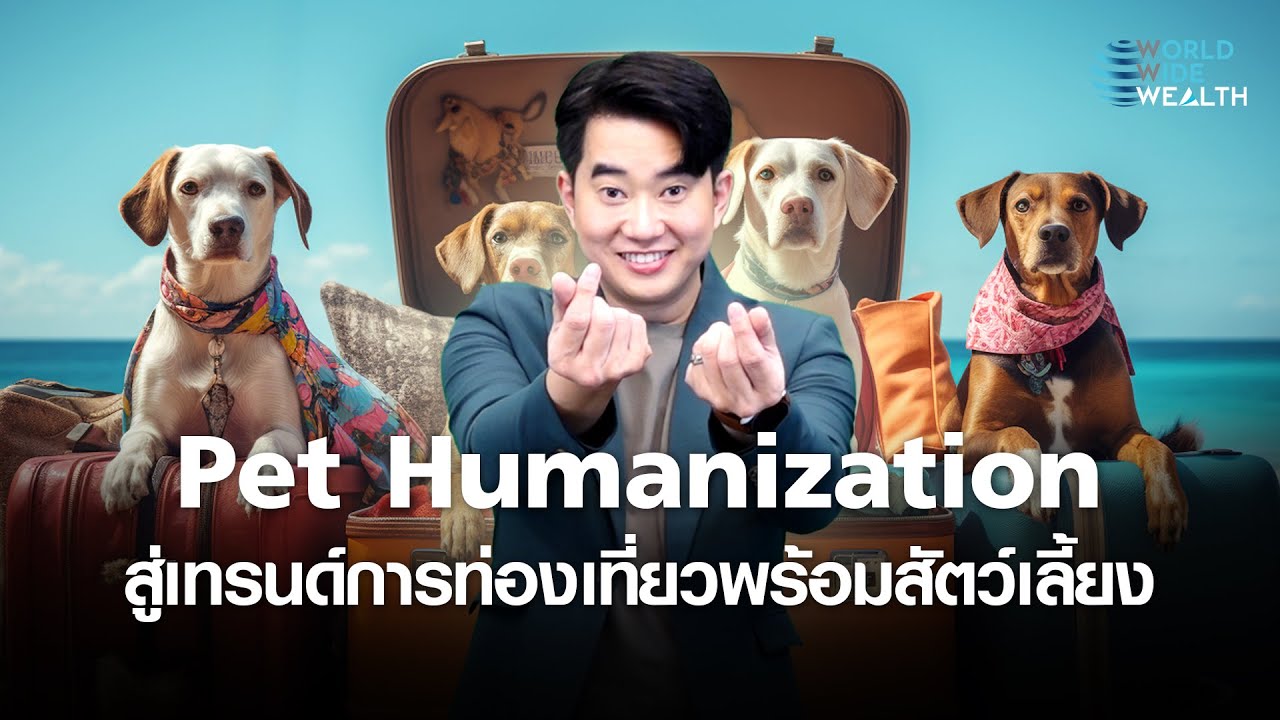 Pet humanization เทรนด์การท่องเที่ยวพร้อมเพื่อนซี้สี่ขา l World Wide ...