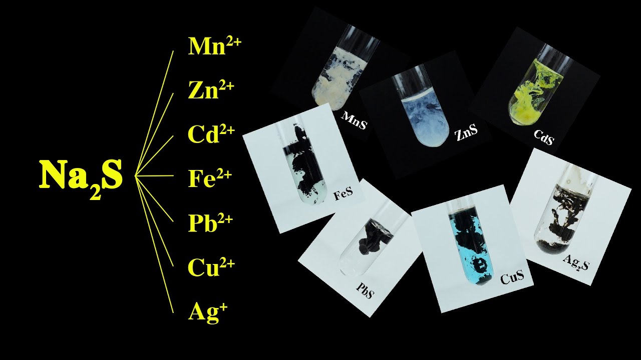 Sodium sulfide (Na2S) tác dụng với các dung dịch Mn2+, Zn2+, Cd2+, Fe2 ...