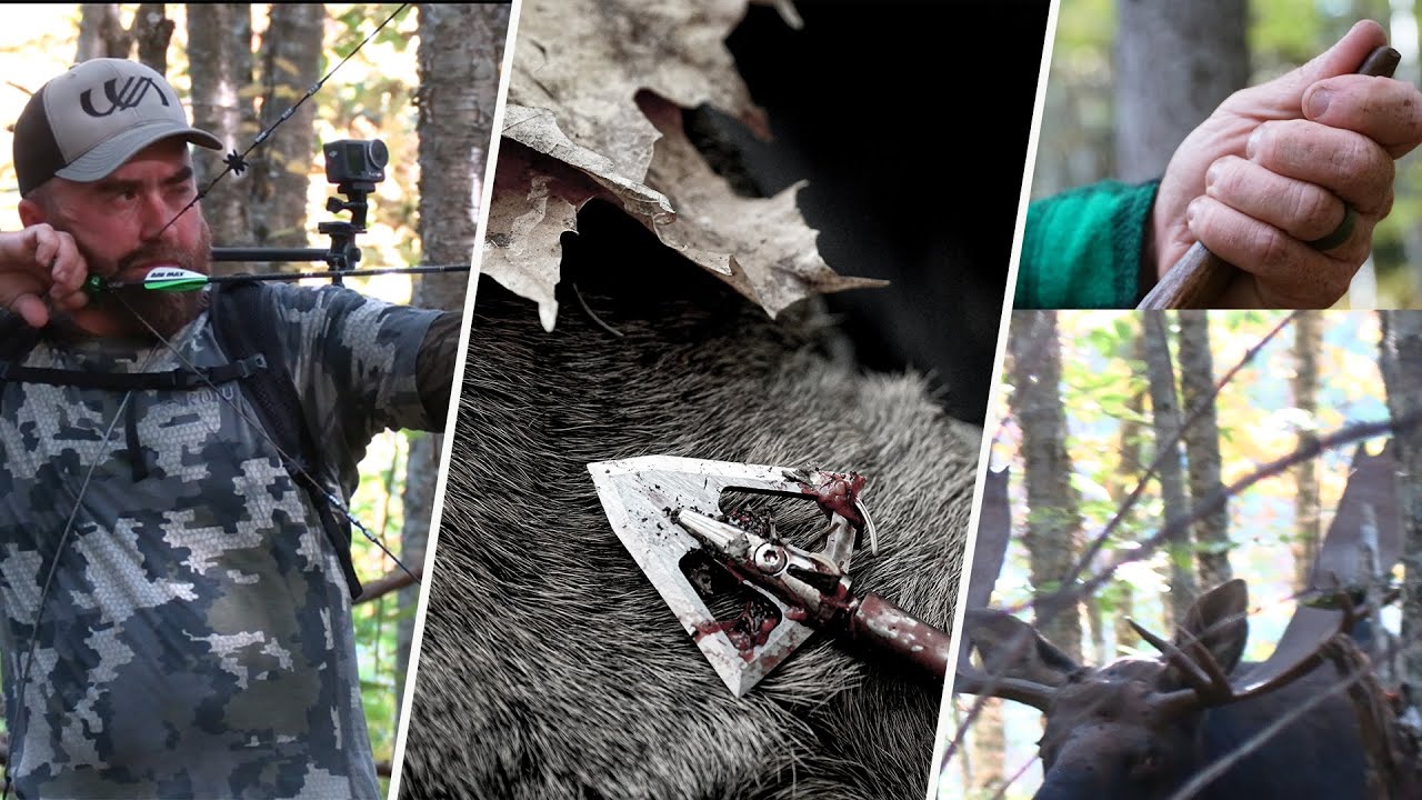 Archery Moose Hunt In Northern Vermont - YouTube