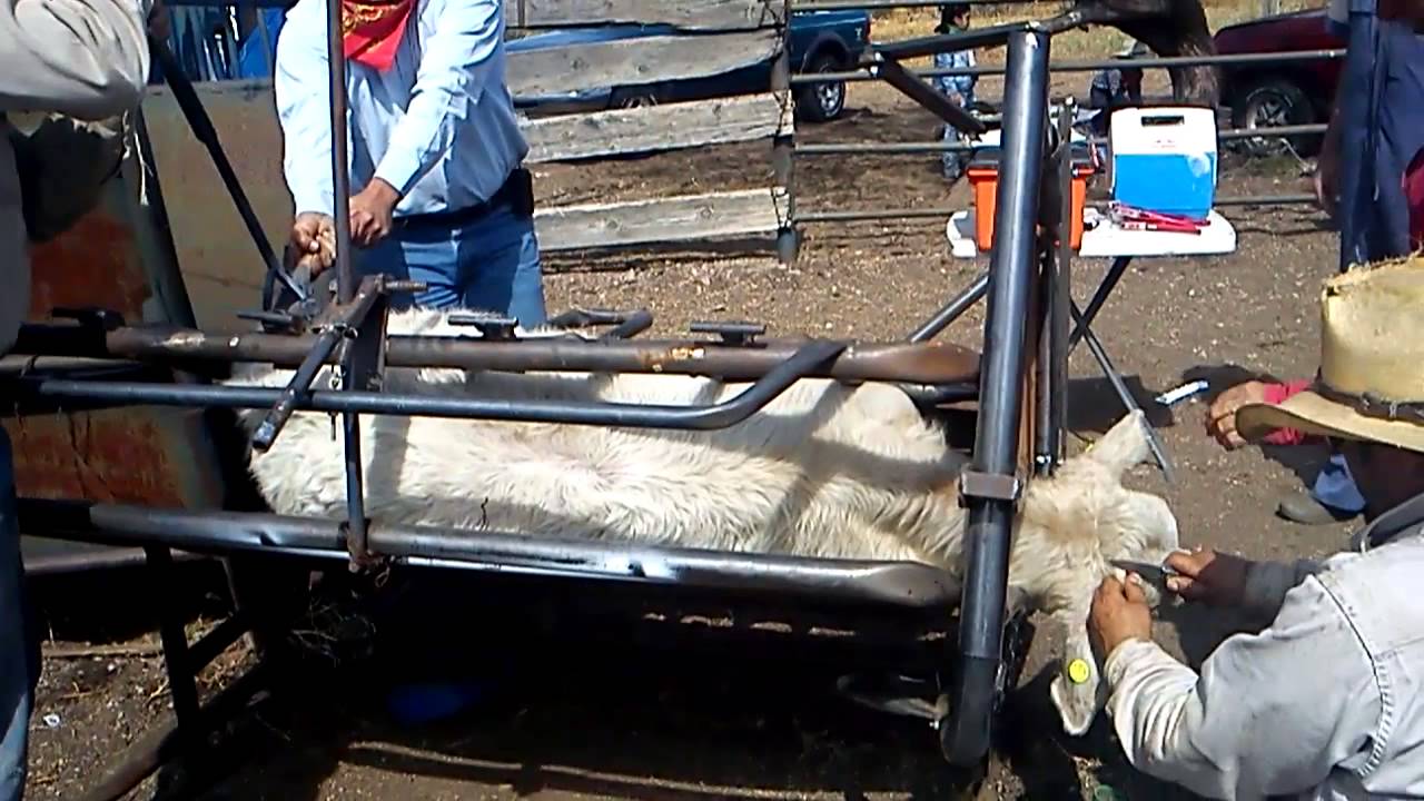 Prensas Ganaderas VALLES - YouTube