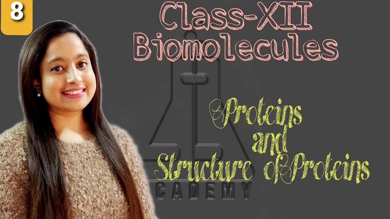 Class-XII Biomolecules | Proteins| Structure of Proteins | - YouTube