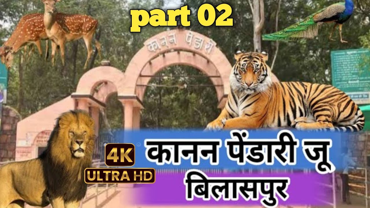 कानन पेंडारी जू बिलासपुर छत्तीसगढ़। kanan pendari zoo zoological park ...