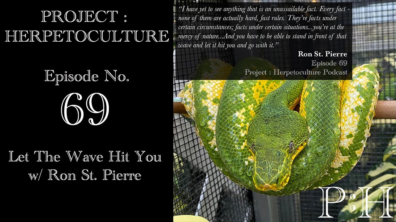 Project: Herpetoculture, Episode No. 69: Let The Wave Hit You w/ Ron St ...