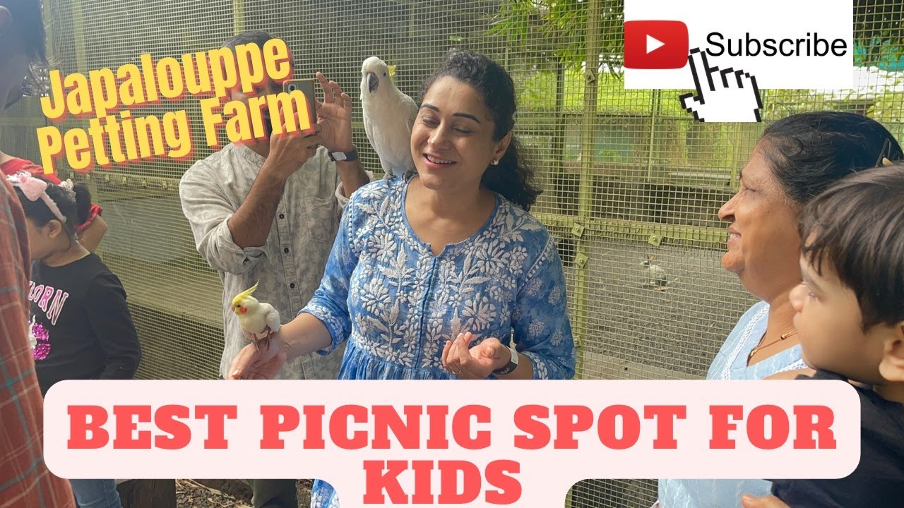 Japalouppe Equestrian Center || Petting Zoo pune || Farm Animal 🦒 Visit ...