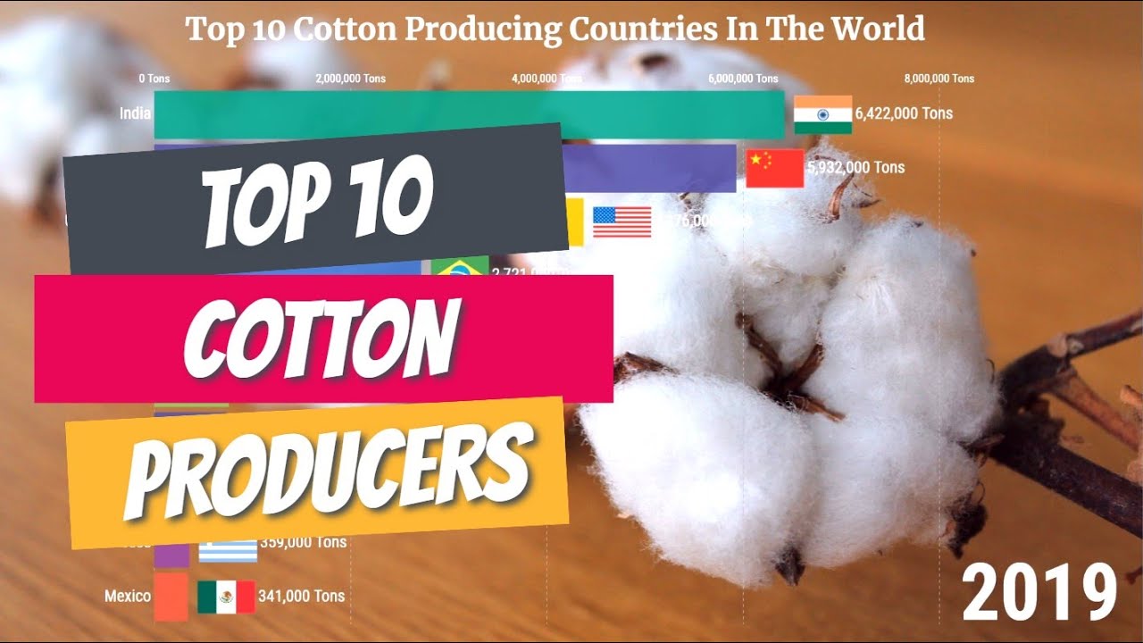Top Cotton Producing Countries In The World 1961 2019 YouTube top-cotton-producing-countries-in-the-world-1961-2019-youtube