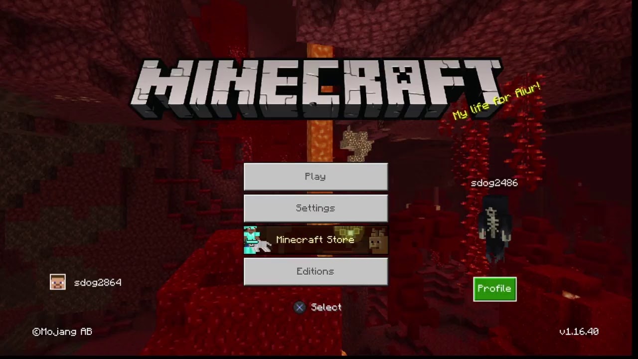 Minecraft vs with bex - YouTube